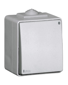 Interruptor Bipolar Cinzento Estanque Efapel 48021 CCZ